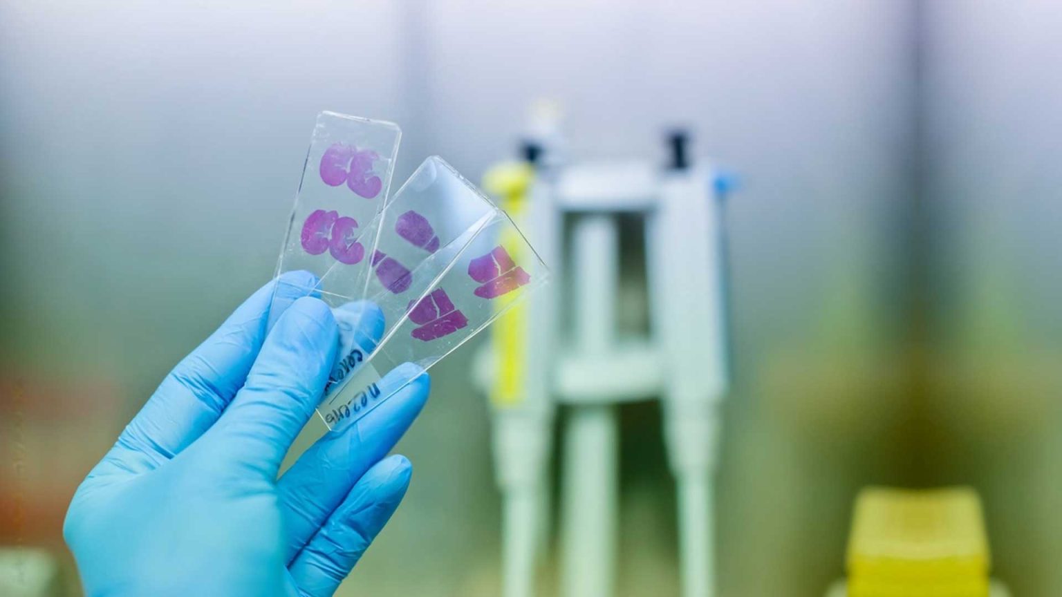 Al Shifa Lab Clinical & Research Laboratories